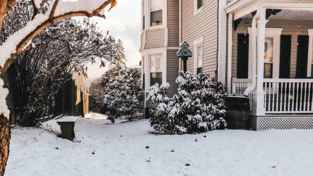 How to Collect Mold Samples in Inclement Weather - Sporecyte