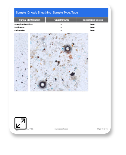 How it works – Sporecyte