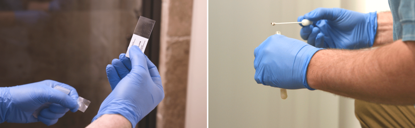 When to Collect a Swab vs Tape Surface Sample – Sporecyte